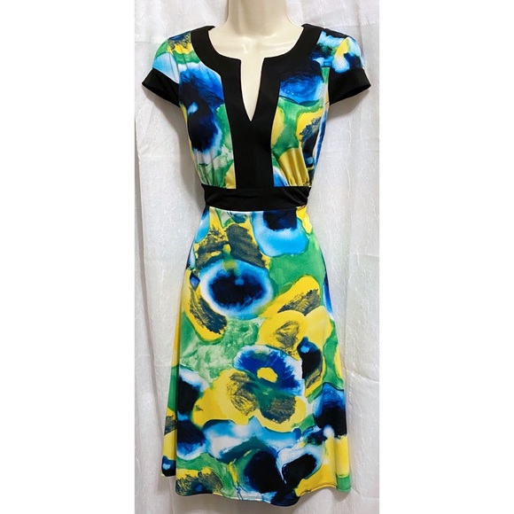 AB Studio | Dresses | Ab Studio Aline Abstract Floral Watercolor Dress ...
